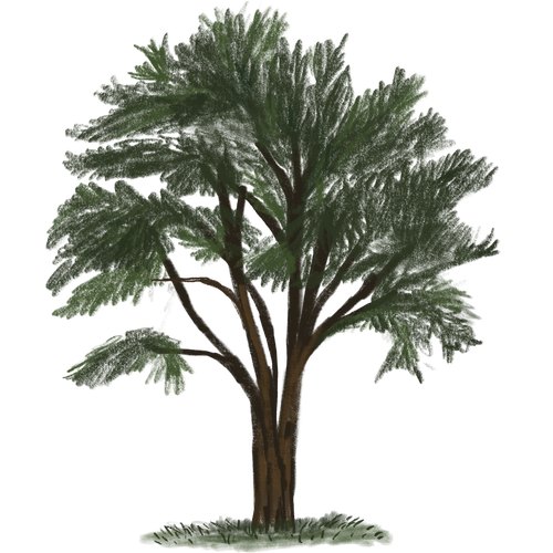 Blog — The Integrative Centre for OCD Therapy