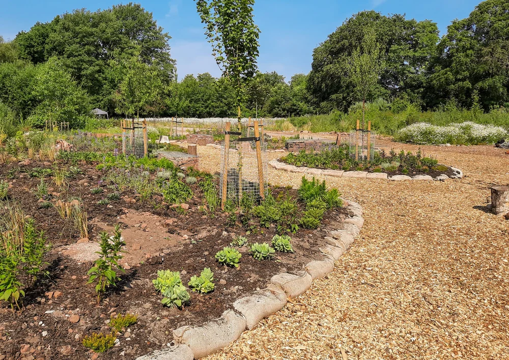 Nature Reserve — Forb Garden Design