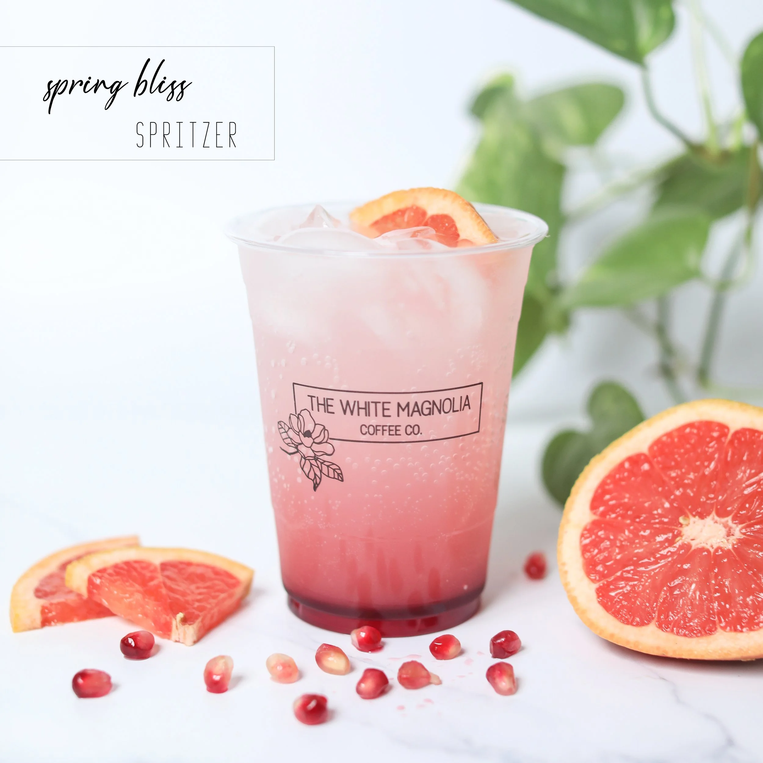 About — The White Magnolia Coffee Co.