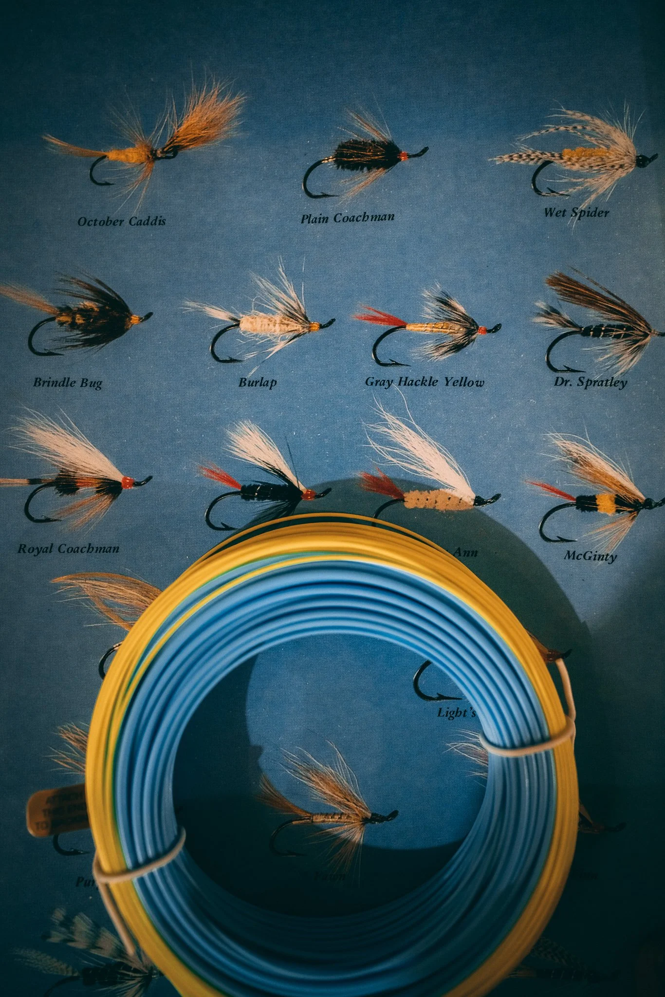 vector spey line — BALLISTIC FLYLINES