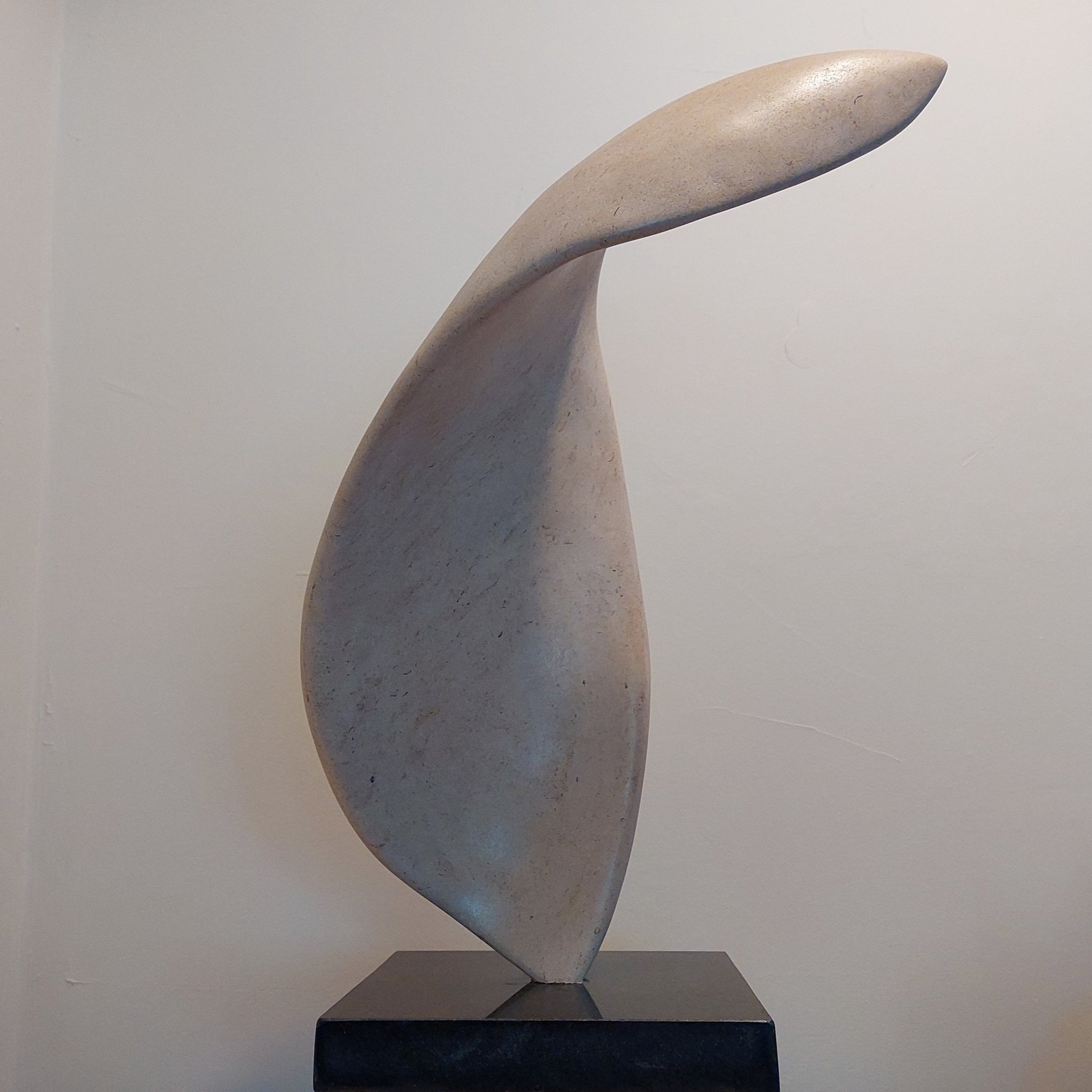 Sculpted in Stone David Williams