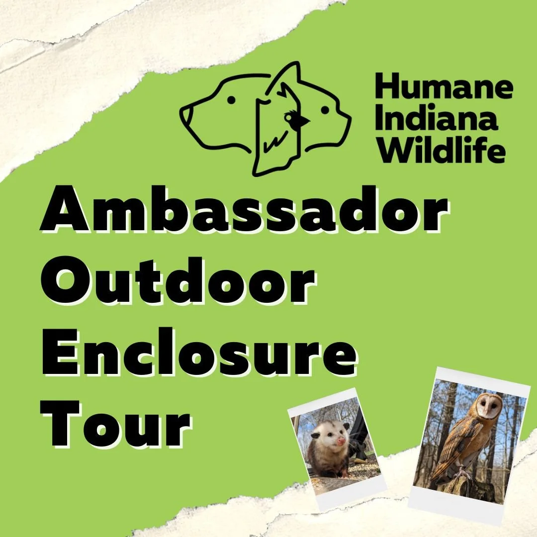 Events and Camps — Humane Indiana