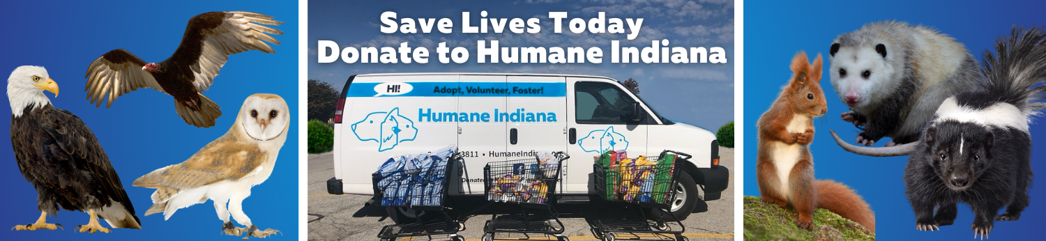 Help our Wildlife — Humane Indiana