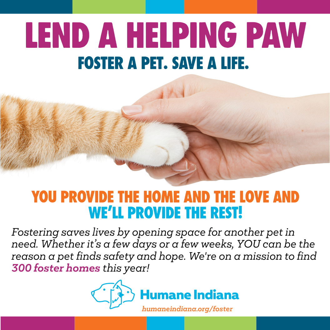 Foster — Humane Indiana