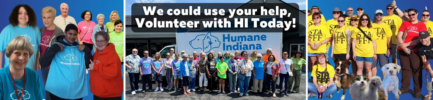 Volunteer — Humane Indiana