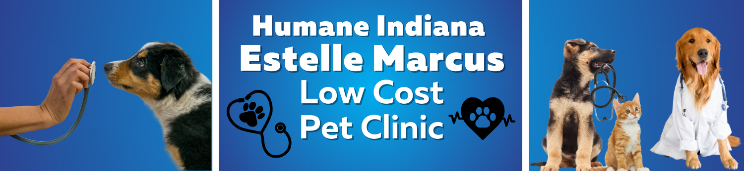 Clinic About — Humane Indiana