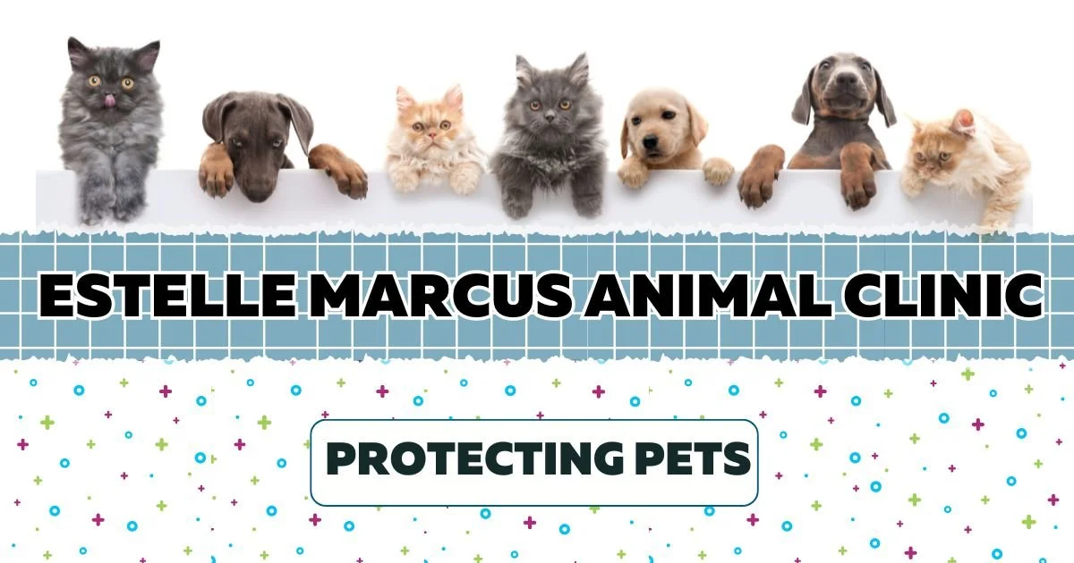 Protect Your Pet — Humane Indiana