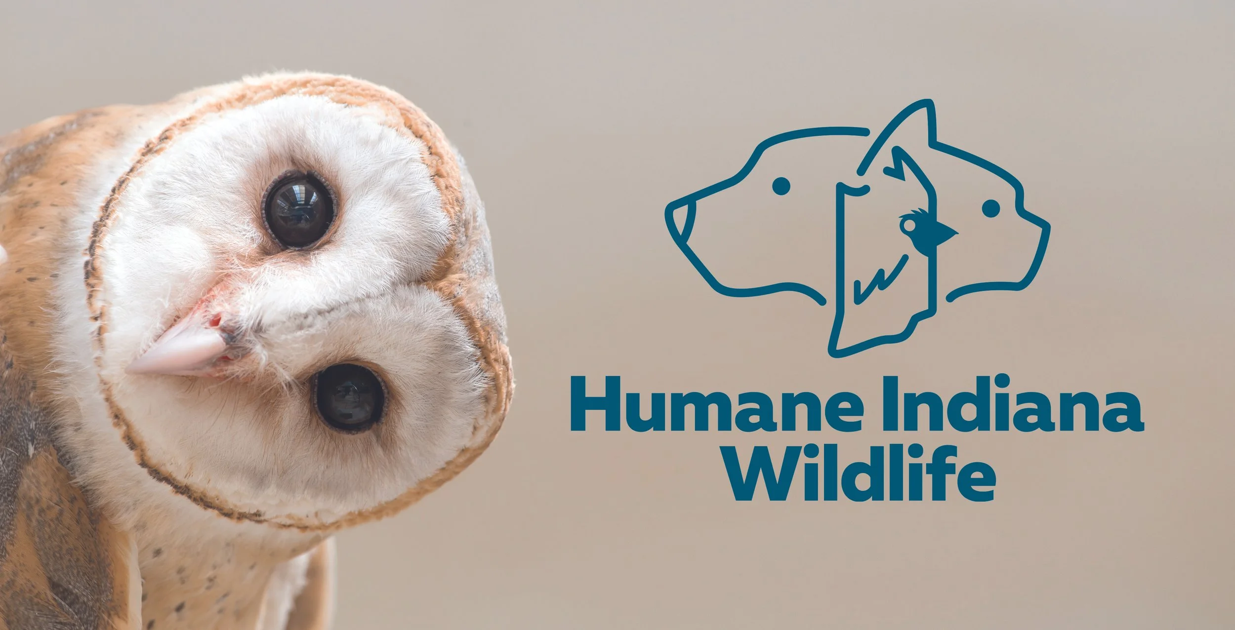 Merchandise — Humane Indiana