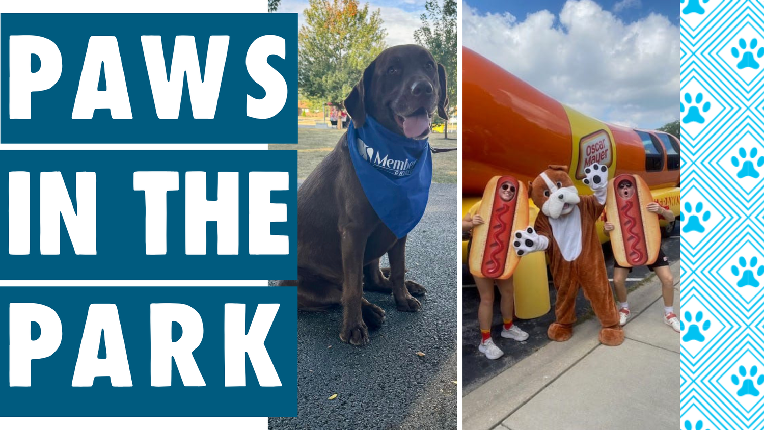 Paws in the Park 2025 – Munster, IN | Pet-Friendly Festival & Fun ...
