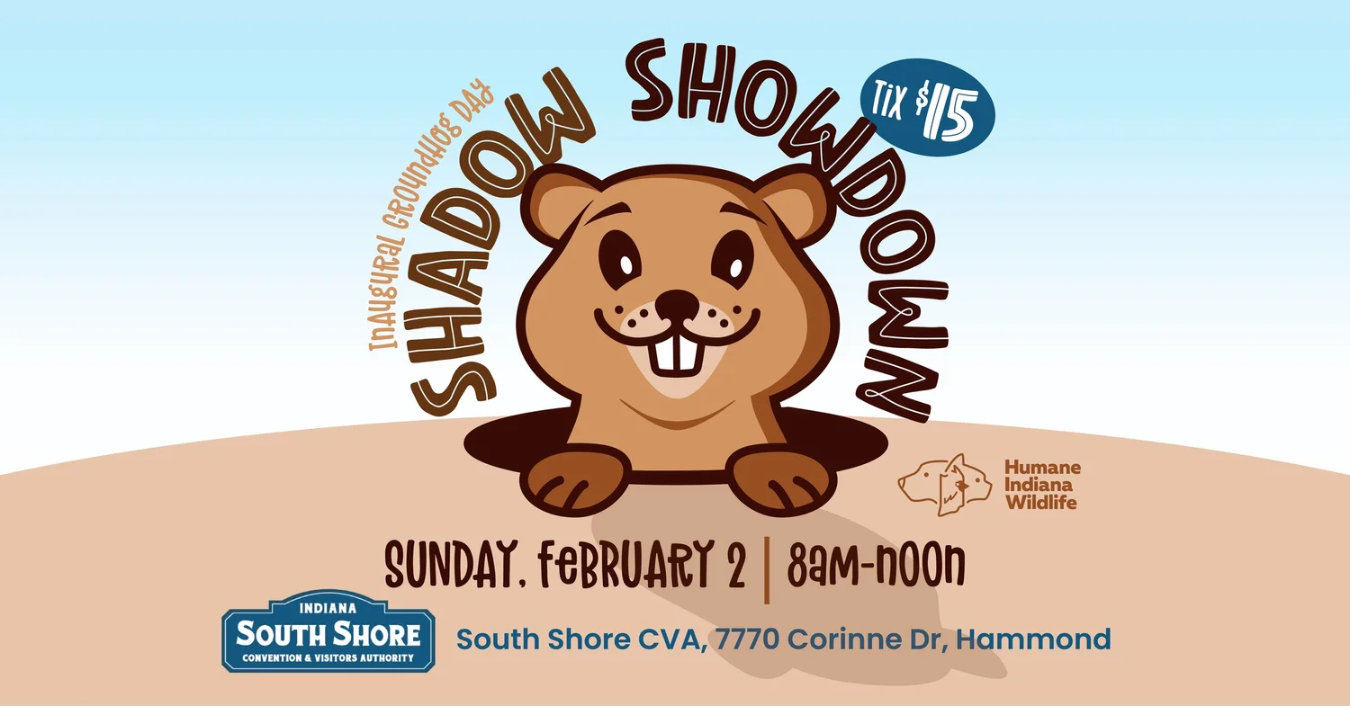 Inaugural Groundhog Day Shadow Showdown - Fundraiser for Humane Indiana ...