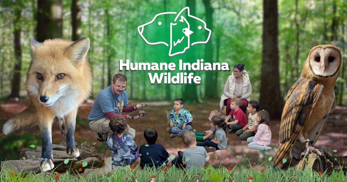 School & Group Education — Humane Indiana