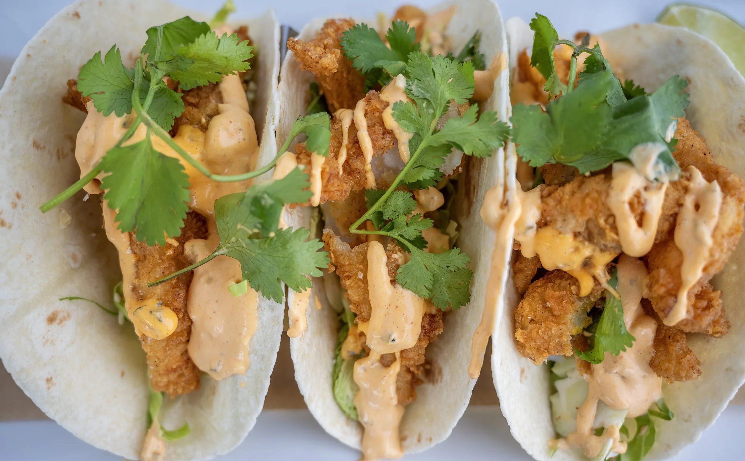 Macky's Events — Macky's Bayside