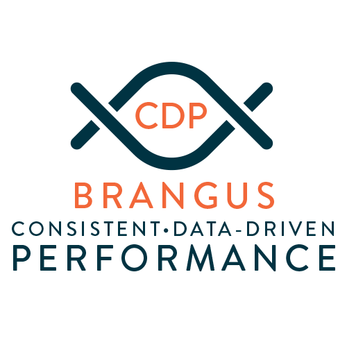 Sales — Consistent, Data-Driven Performance Brangus