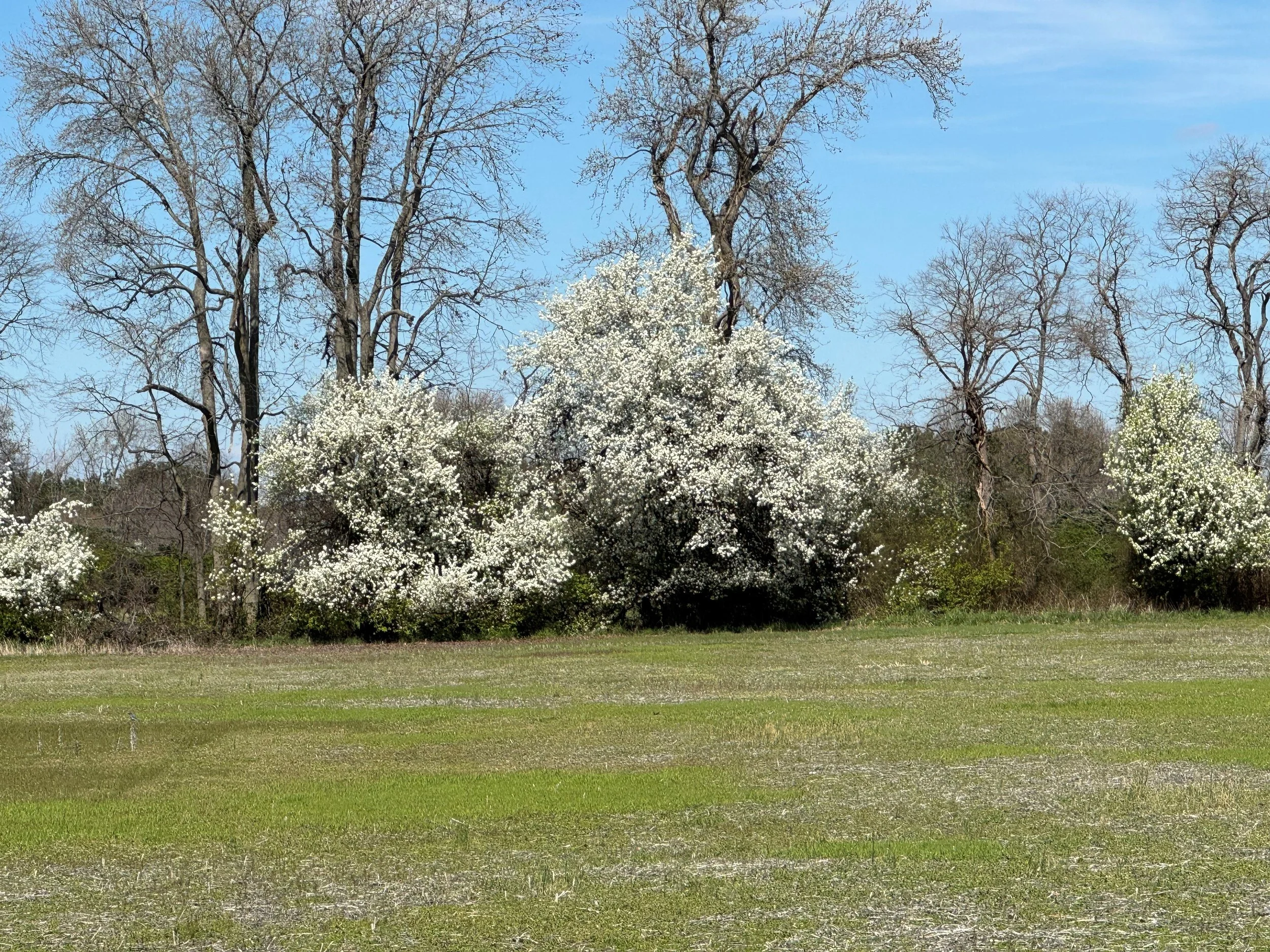 Wildlife Management, University of Maryland Extension