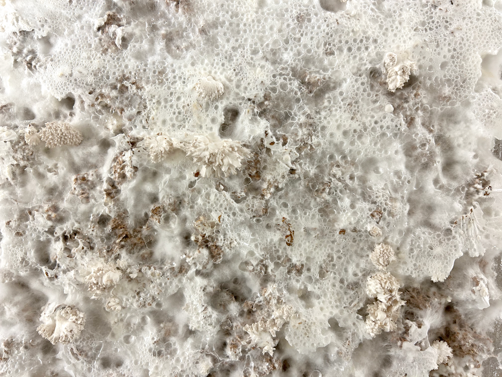 Gallery 1 — Natalie Walter