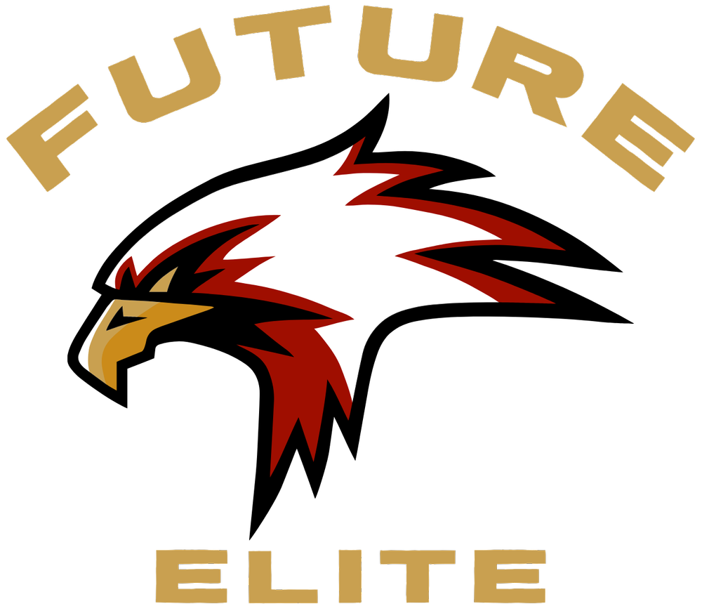 Future Elite Lacrosse Team — Tradish Lacrosse