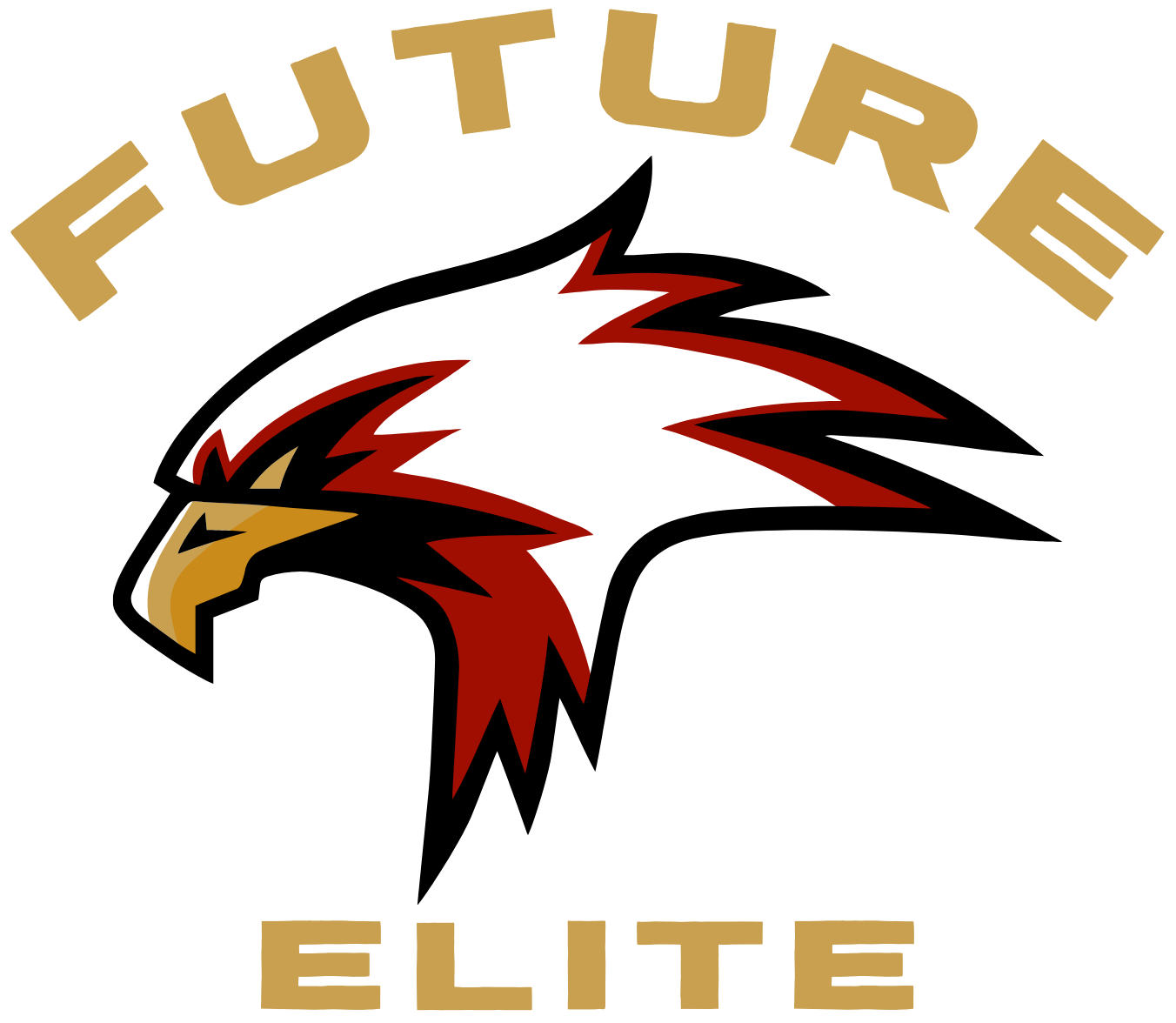Future Elite Lacrosse Team — Tradish Lacrosse