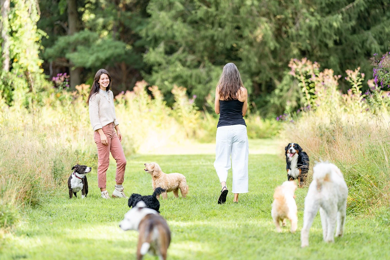 Unleashed Canine Obedience