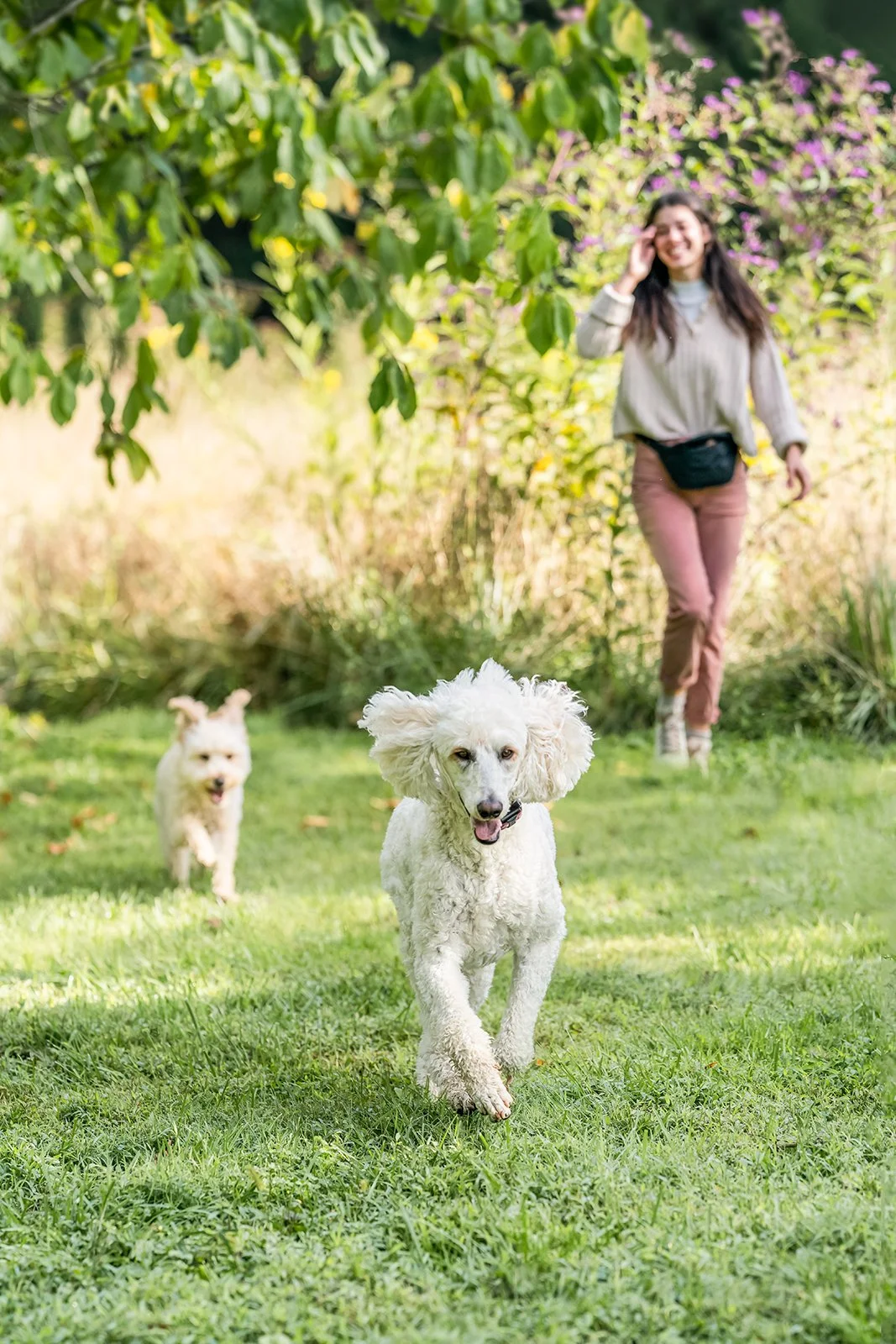 Unleashed Canine Obedience