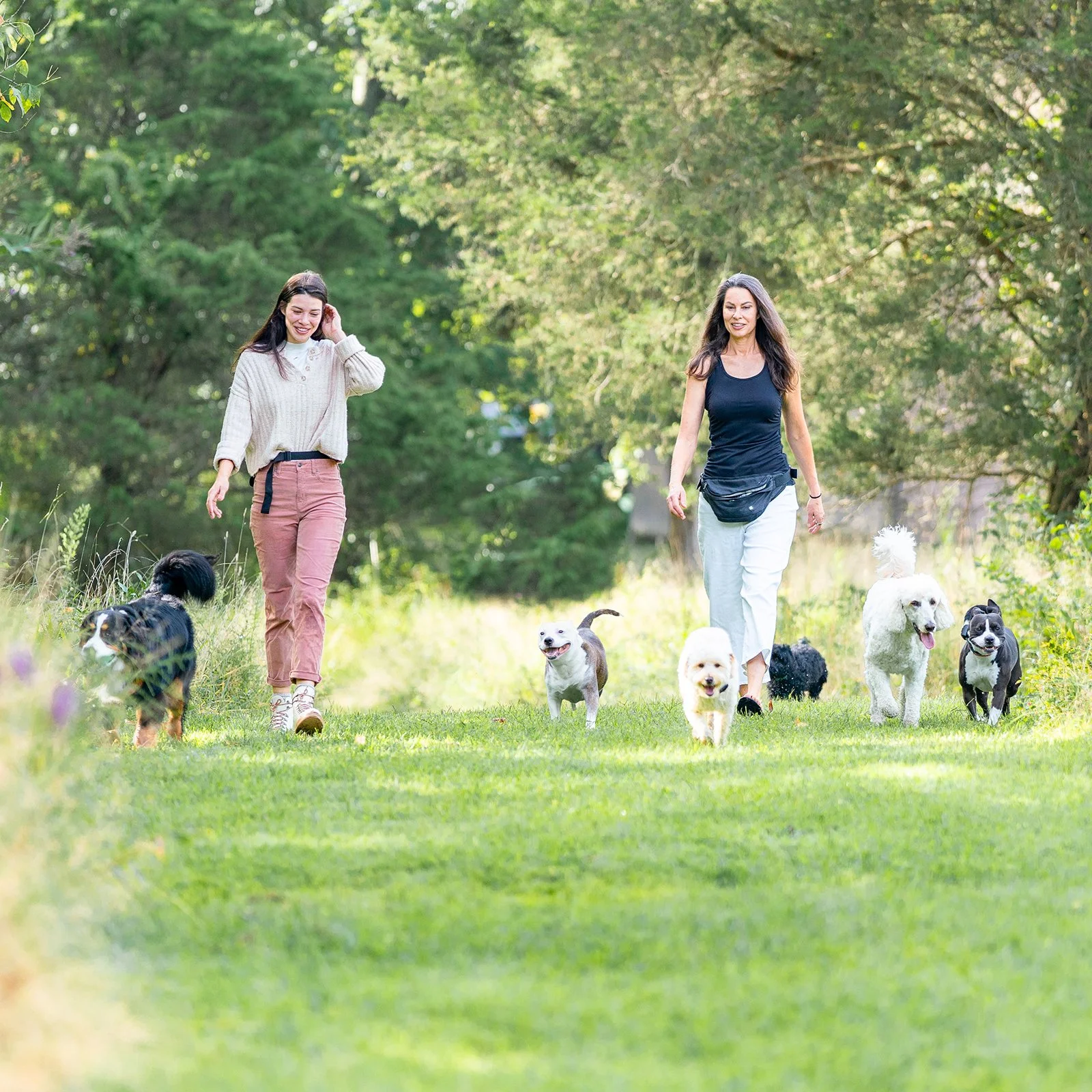 Unleashed Canine Obedience