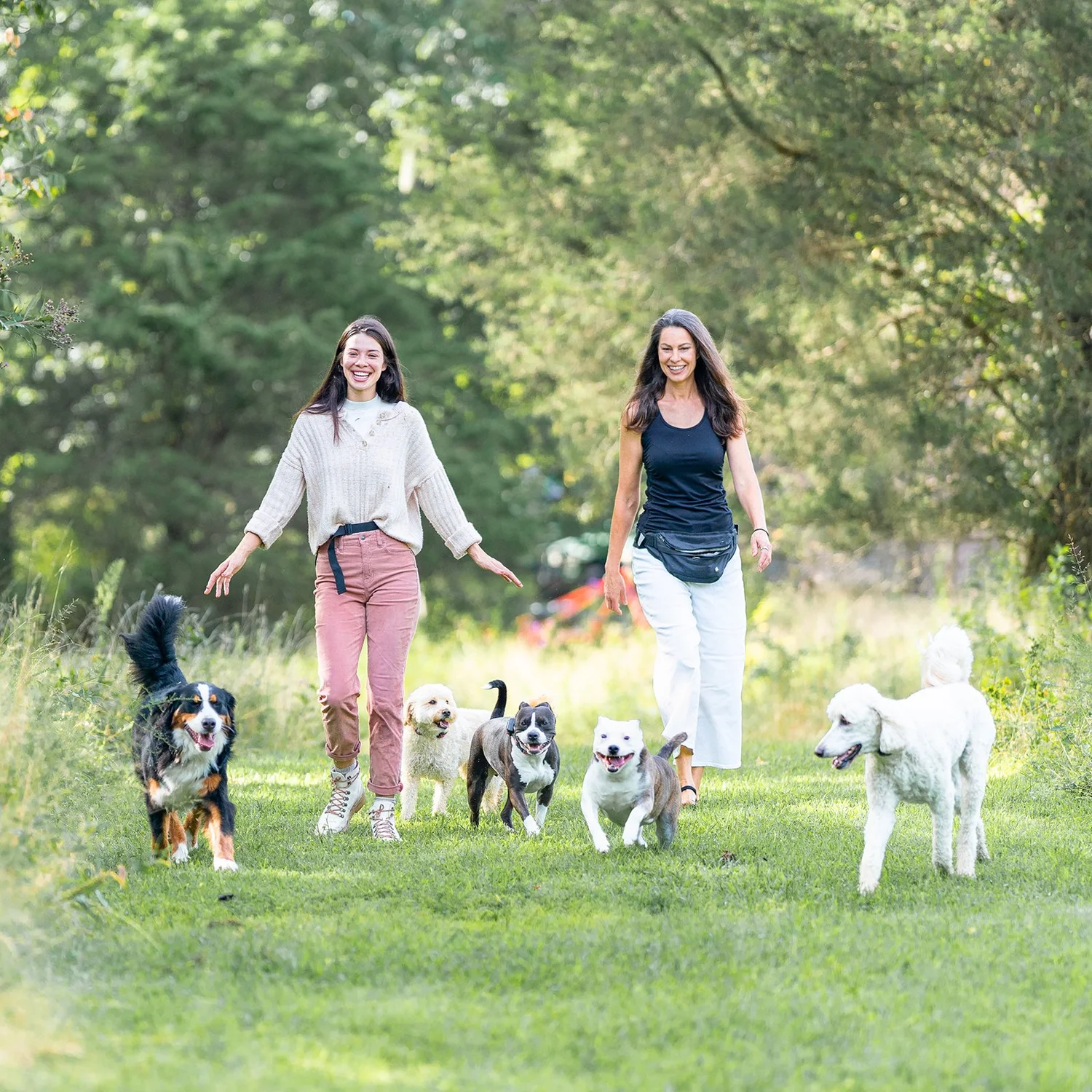 Unleashed Canine Obedience