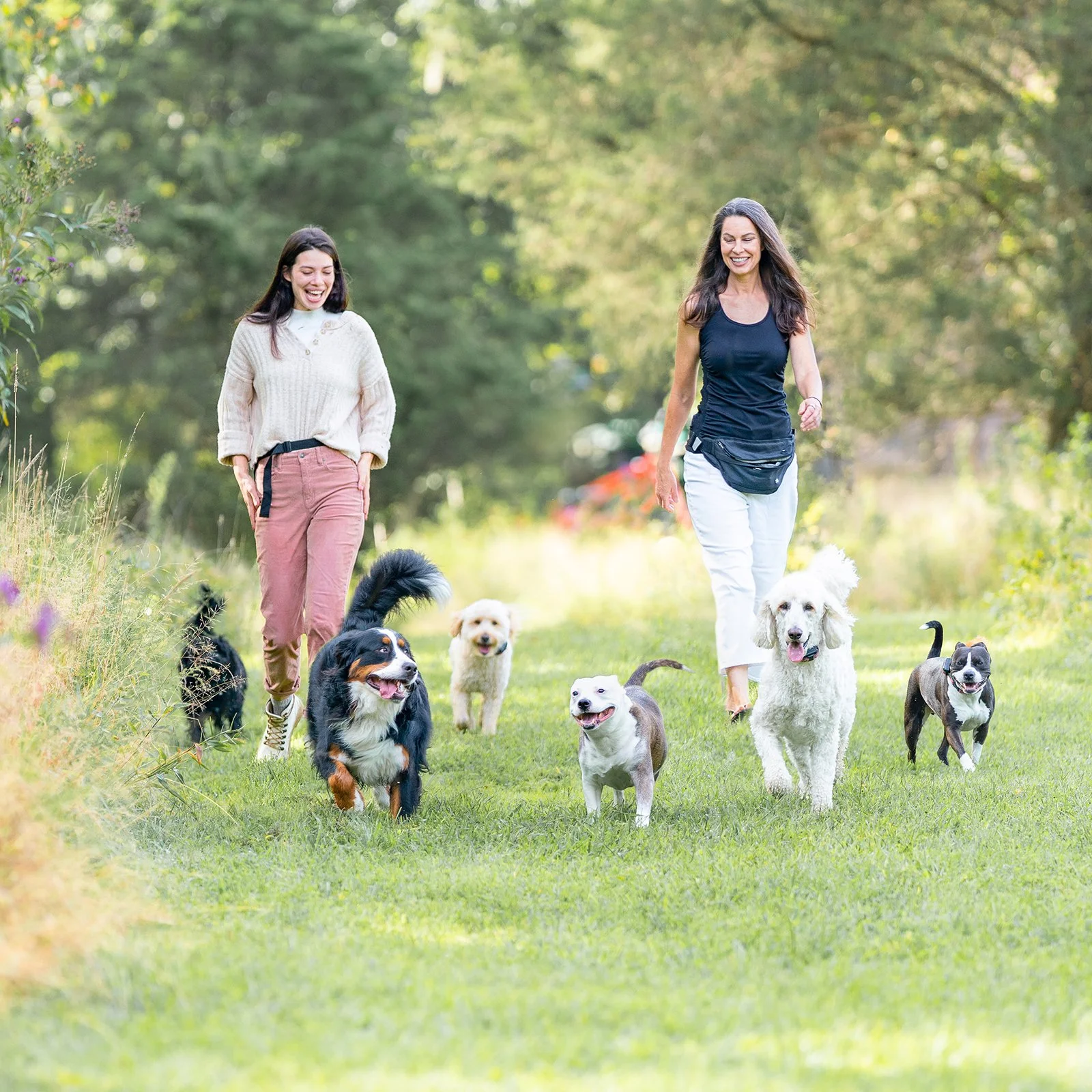 Unleashed Canine Obedience