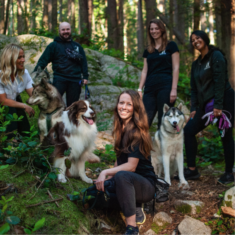 Canine Connection Training | Your Trusted Dog Training Experts!