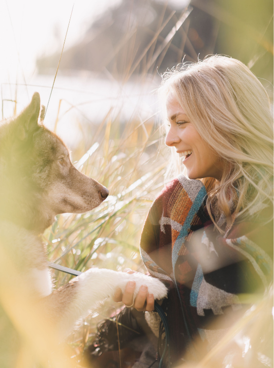 Canine Connection Training | Your Trusted Dog Training Experts!