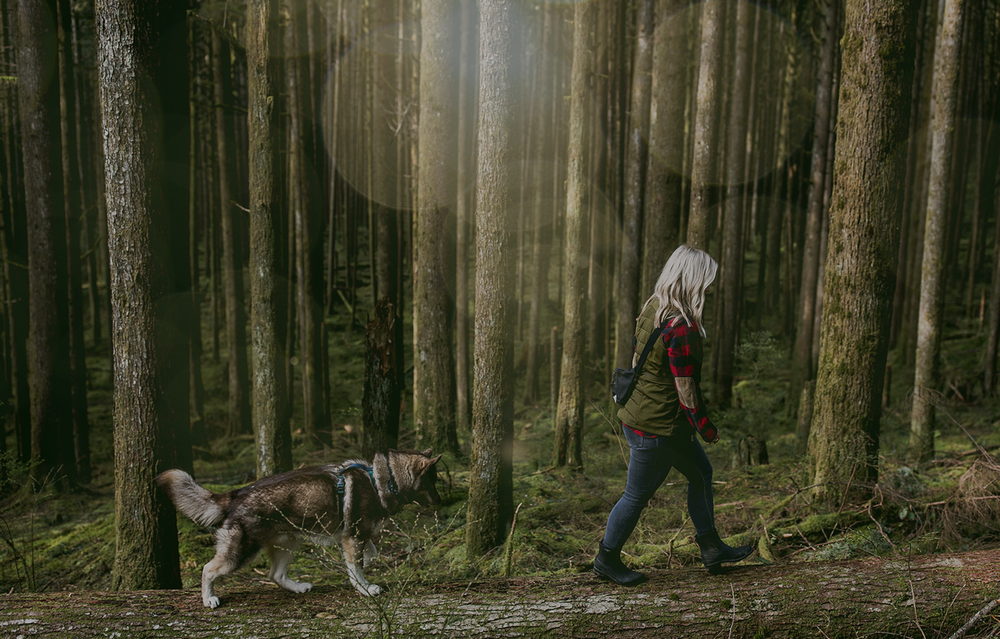 Canine Connection Training | Your Trusted Dog Training Experts!