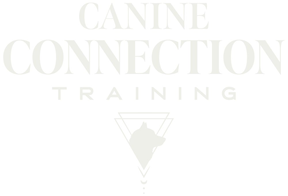 Learn | Canine Connection Training