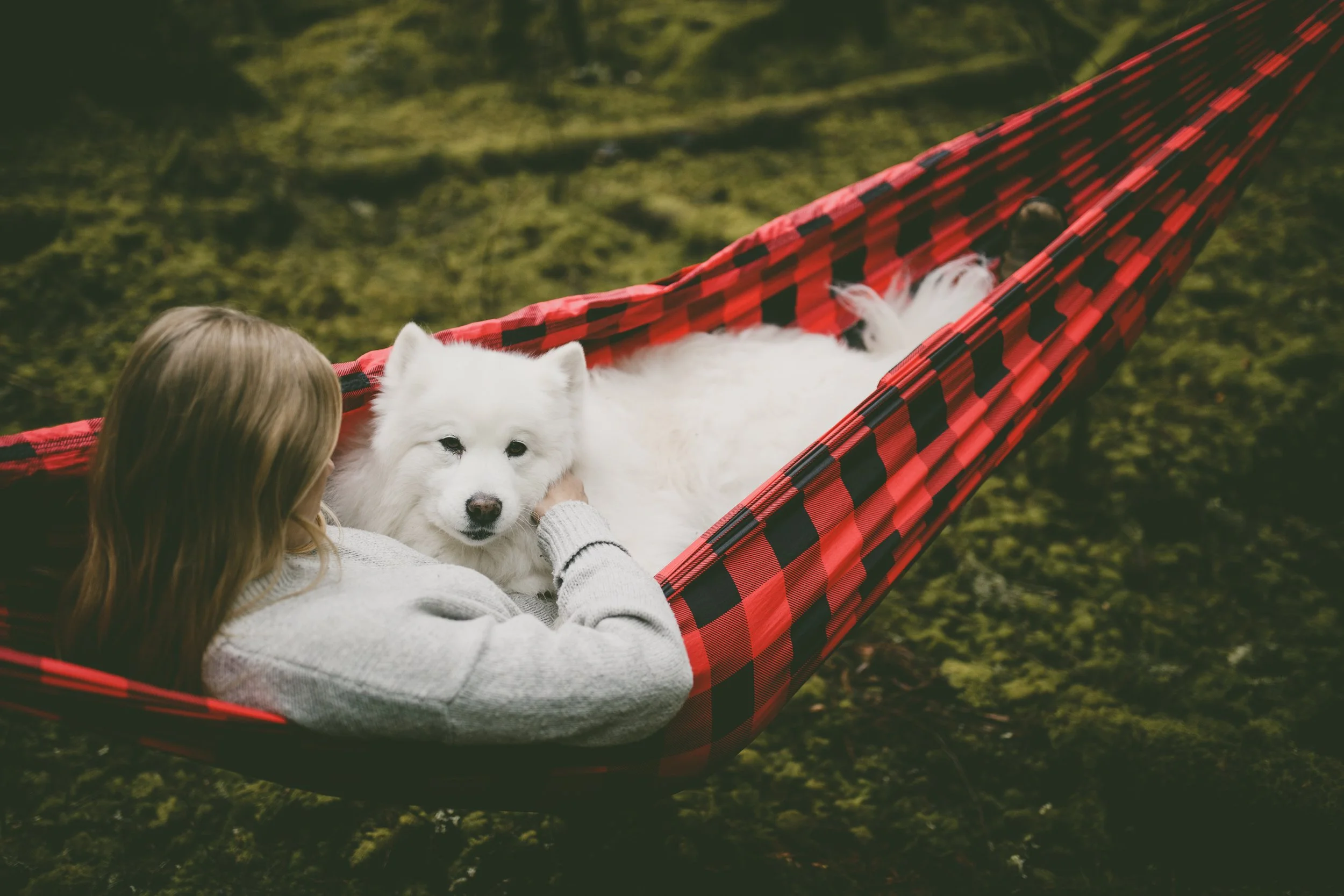 Dogs' Ability to Sense and Respond to Our Emotional States | Canine ...