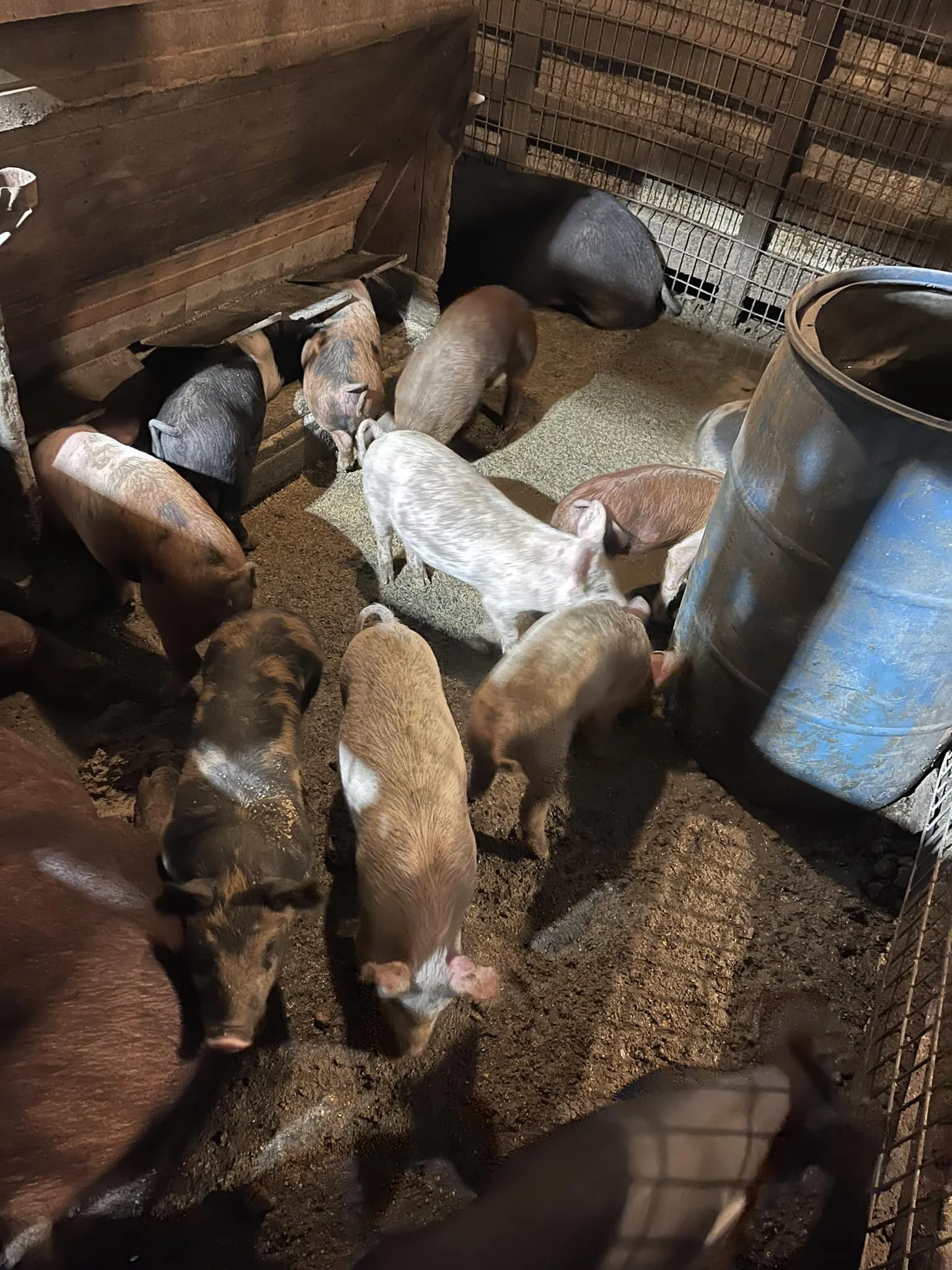 W and W Farms | Heritage Breed Pork, Grass-Fed Beef, Poultry & Eggs ...