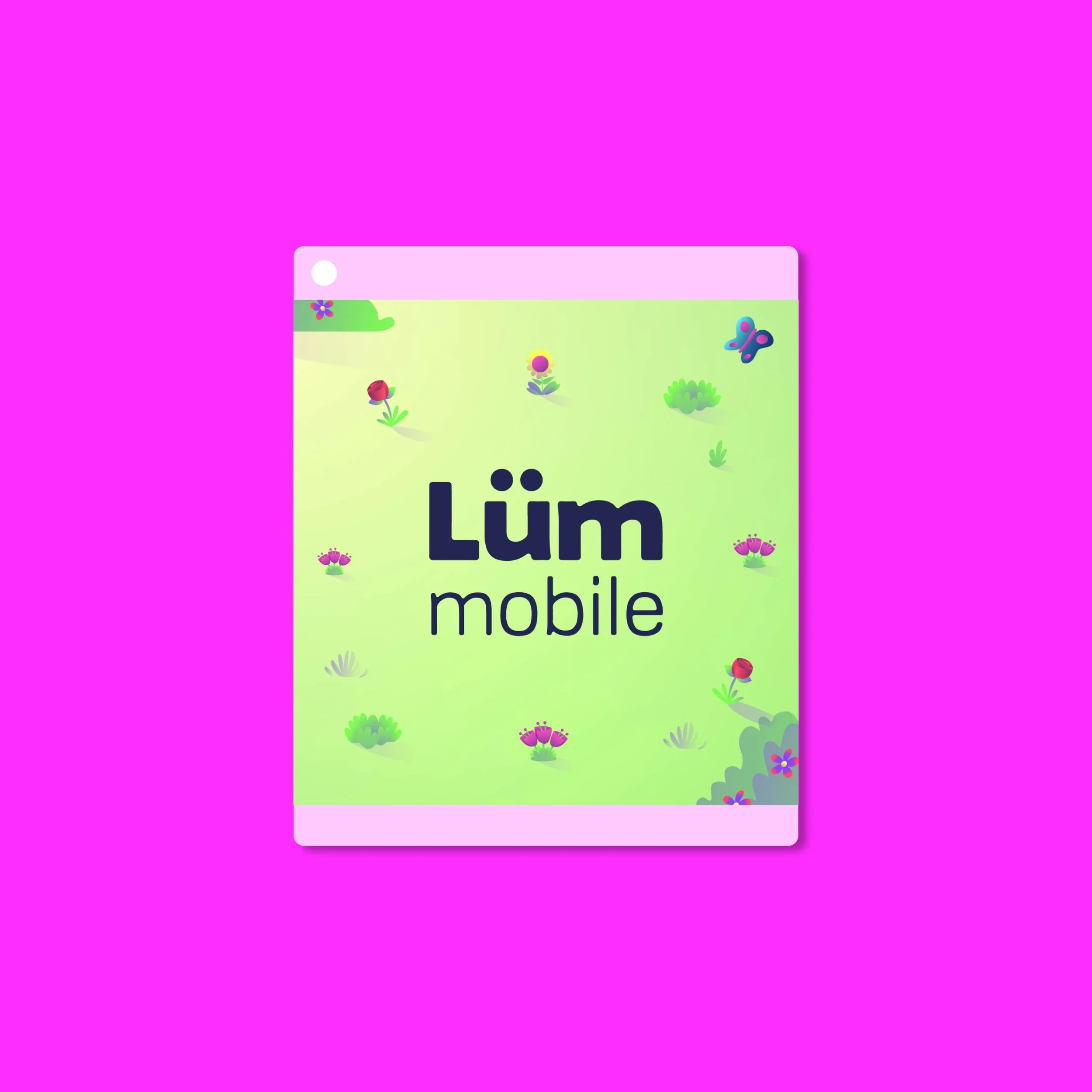 lmno Consulting — Projects