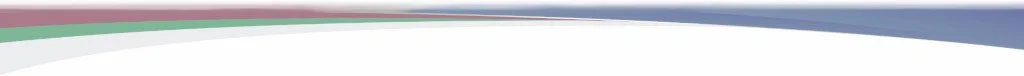 Support Surfaces — International Guideline
