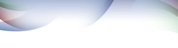 2025 Guideline International Guideline