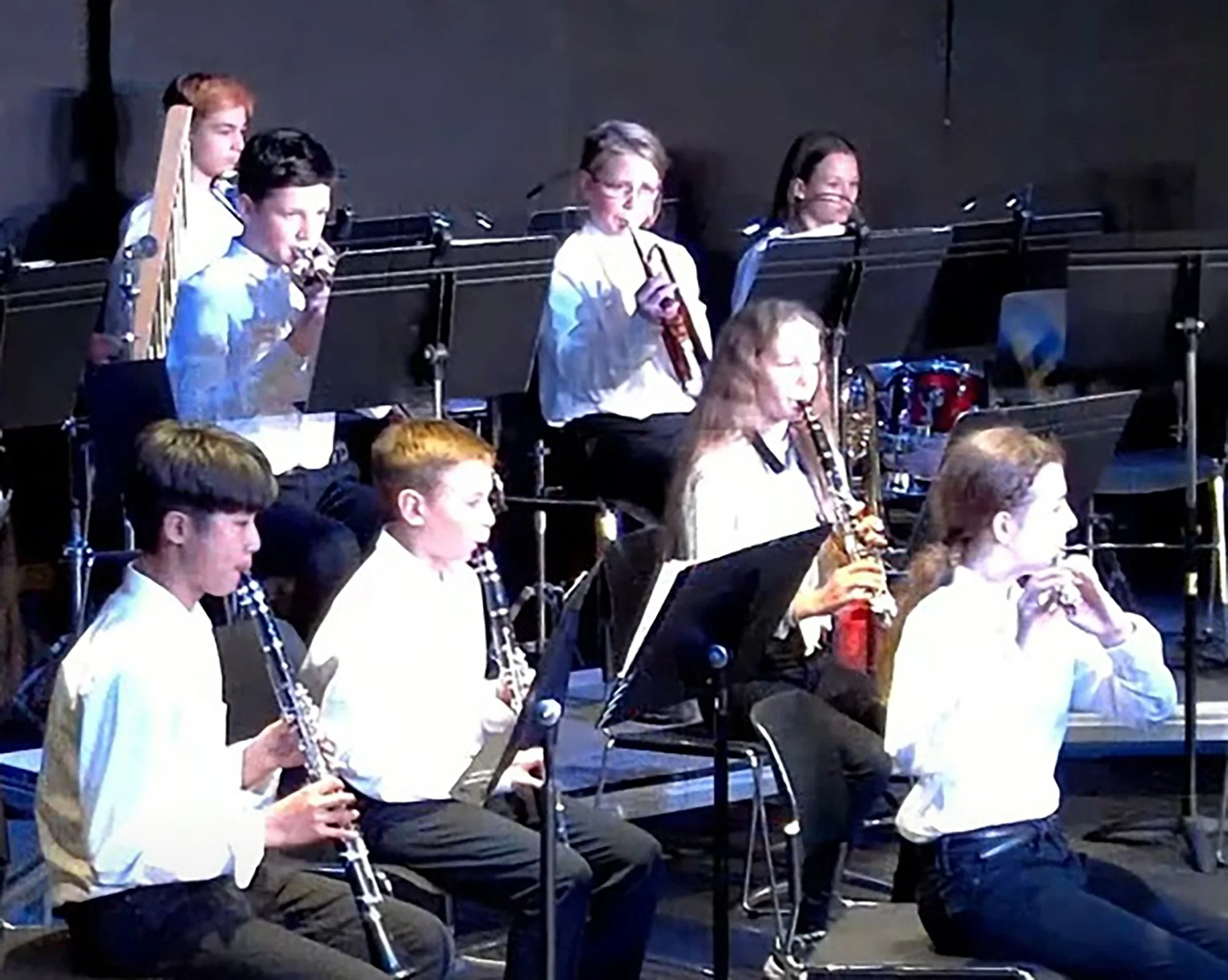 MS/HS Band & Strings Concerts — AIS Vienna