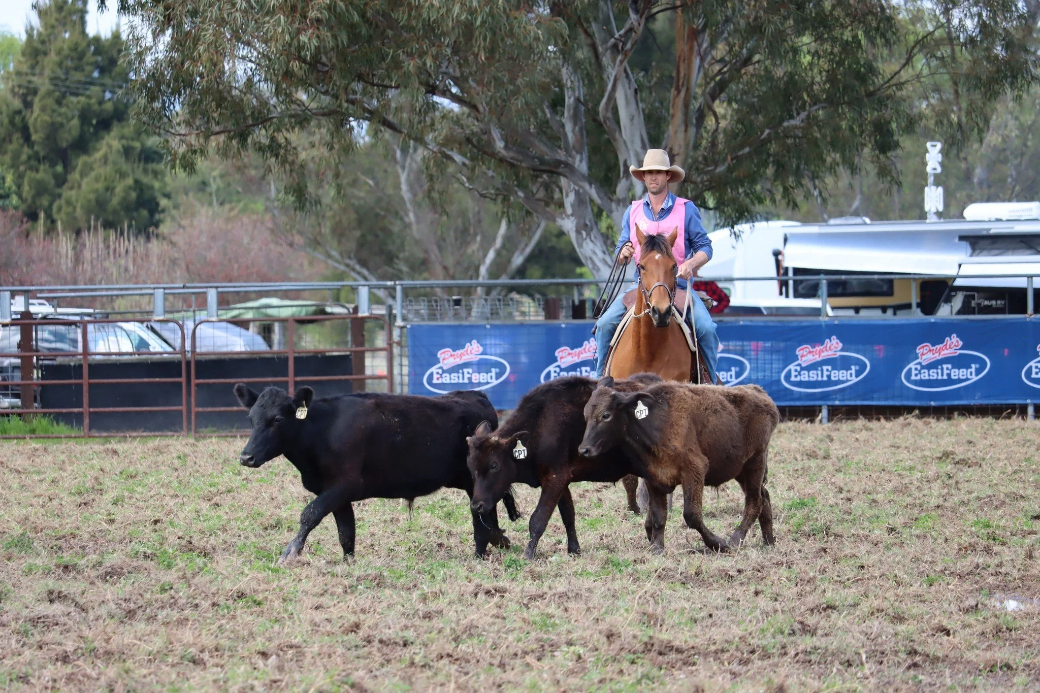 The Challenge — King of the Ranges