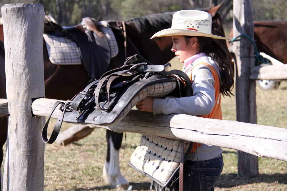 The Challenge — King of the Ranges