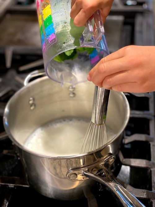 Fresh Mint Chocolate Chip Ice Cream — Tastes & Treks