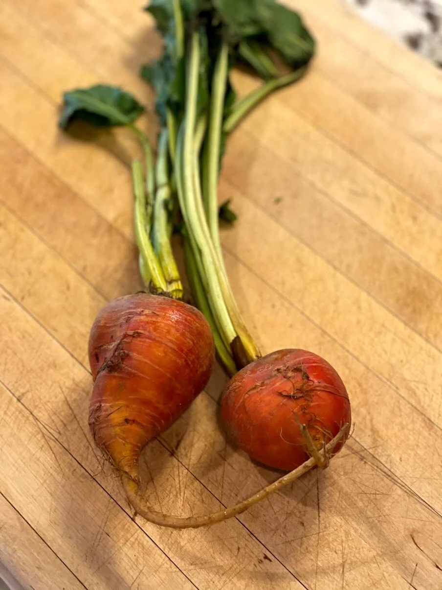 Golden Beet Salad — Tastes & Treks