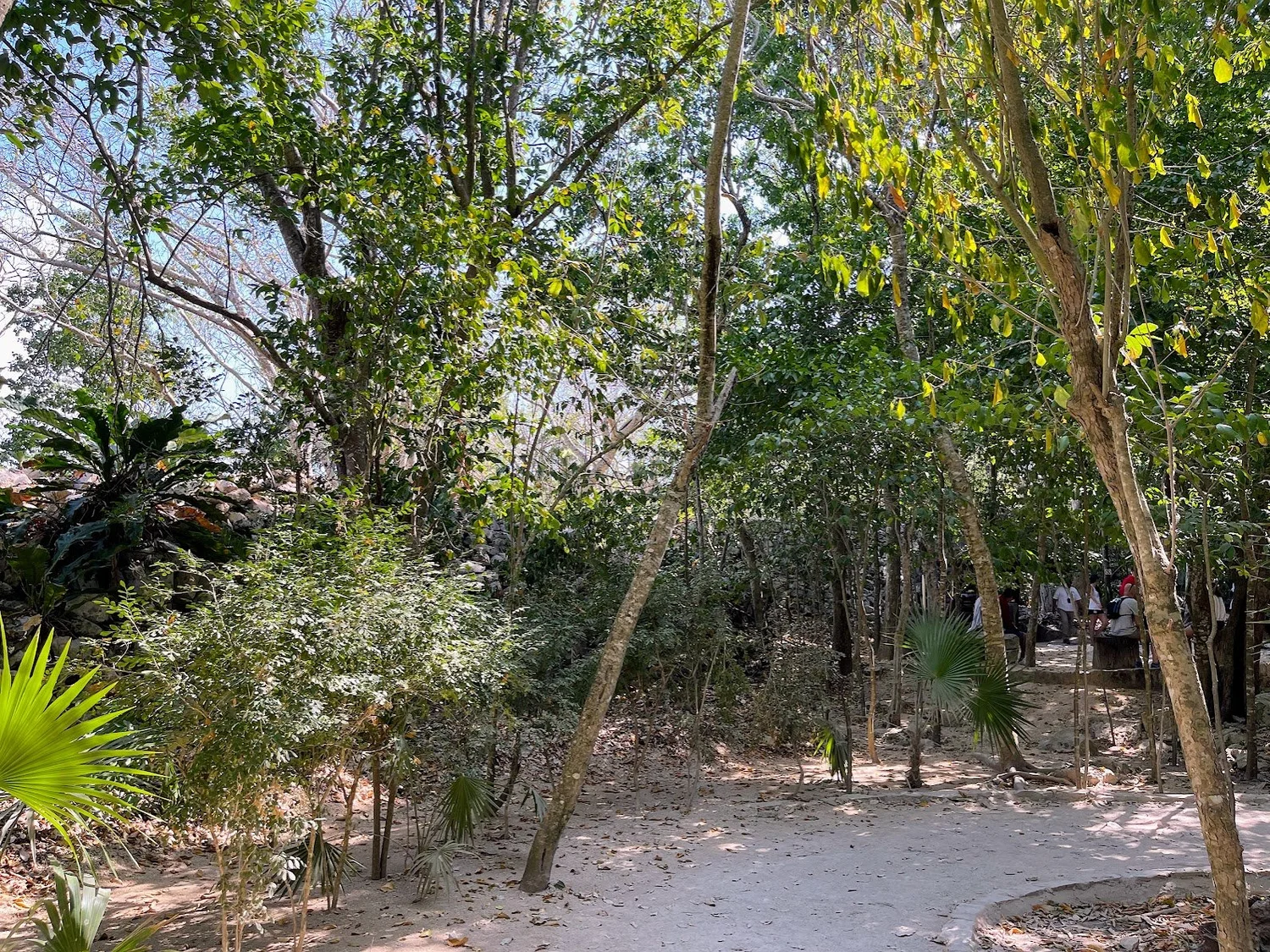 Touring the Ruins in Tulum, Mexico — Tastes & Treks