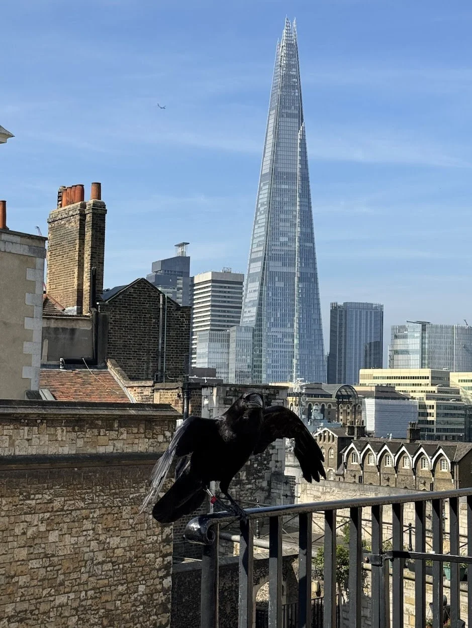 Exploring The Tower of London and Soaring High on the London Eye ...