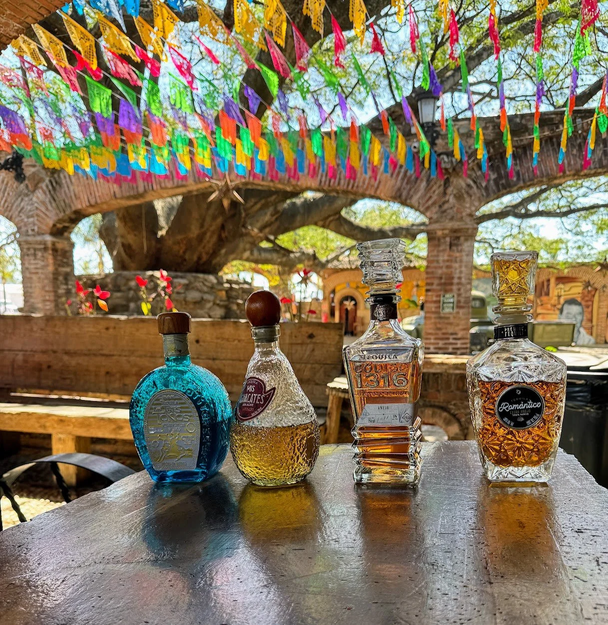 Tour of Tequila, Mexico — Tastes & Treks