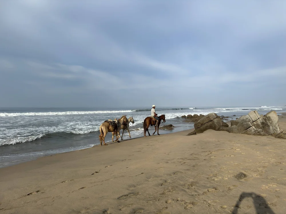 Chilling on the Beach in Troncones, Mexico — Tastes & Treks