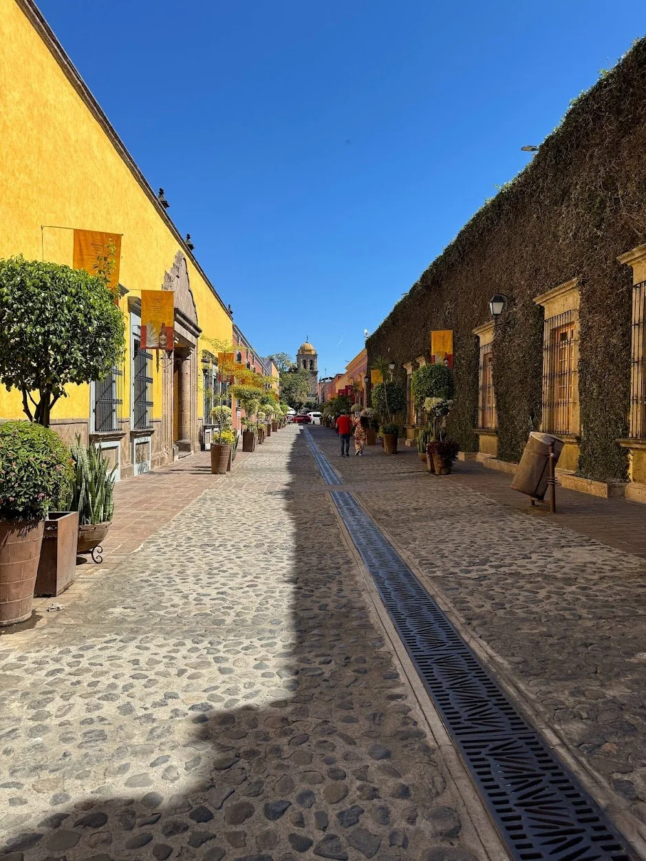 Tour of Tequila, Mexico — Tastes & Treks