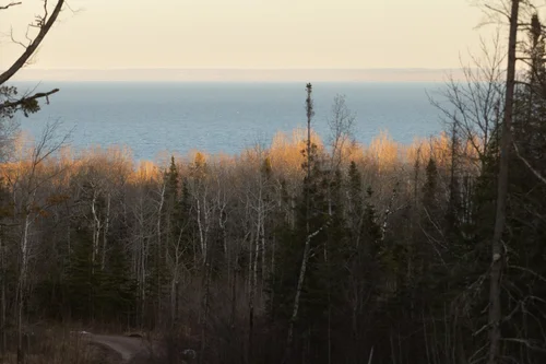 Great Lakes Wood Co.