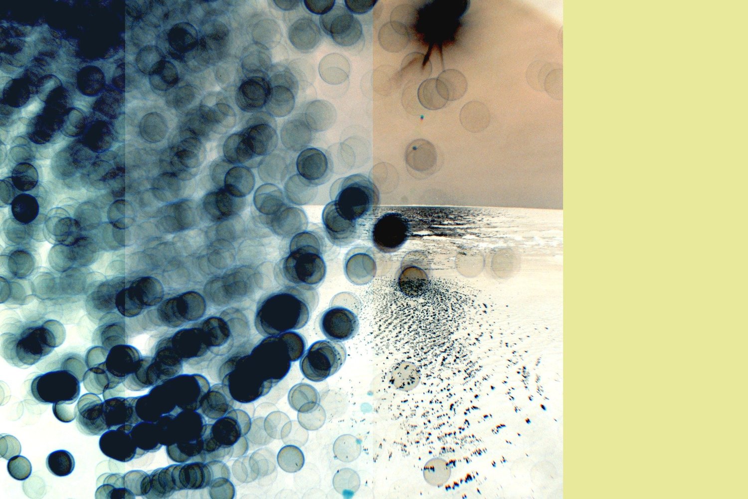 Leah Oates - Transitory Space, Nantucket, Massachusetts — Magazine1