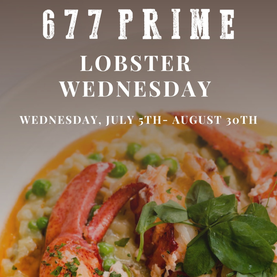 Blog 3 — 677 Prime