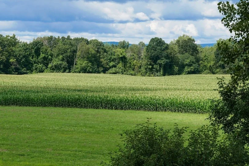 About — Historic Heath Farm Initiative