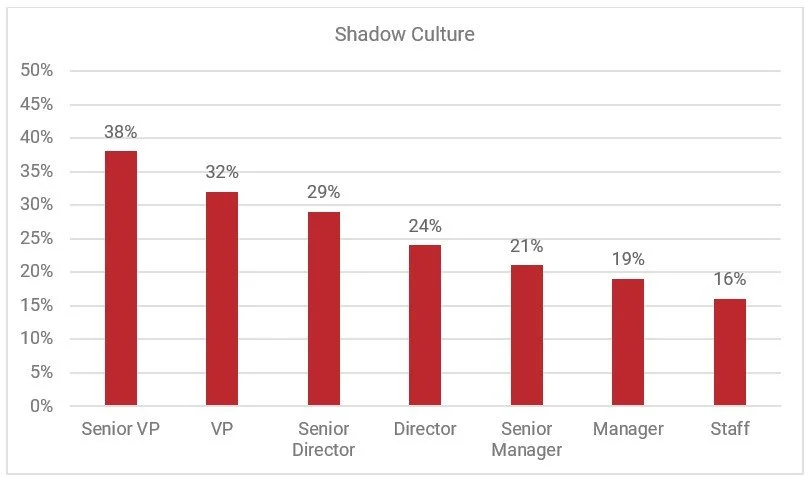 Cultures Created by Leadership Teams and Groups — BVC